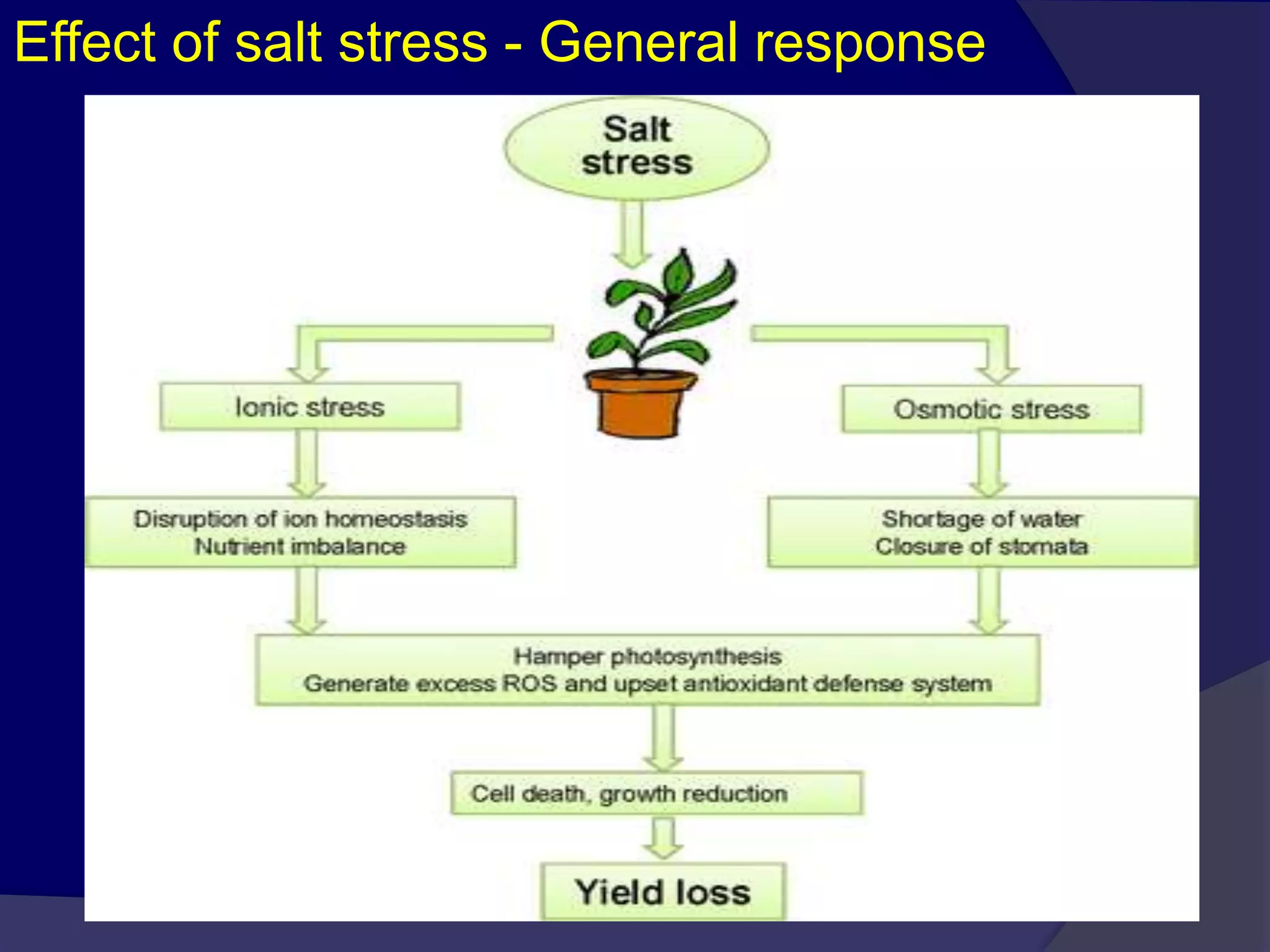 Salinity stress and its impact on plants.ppt