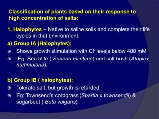 Salinity stress and its impact on plants.ppt