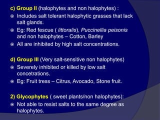 Salinity stress and its impact on plants.ppt