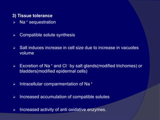 Salinity stress and its impact on plants.ppt