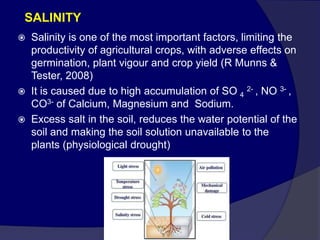 Salinity stress and its impact on plants.ppt