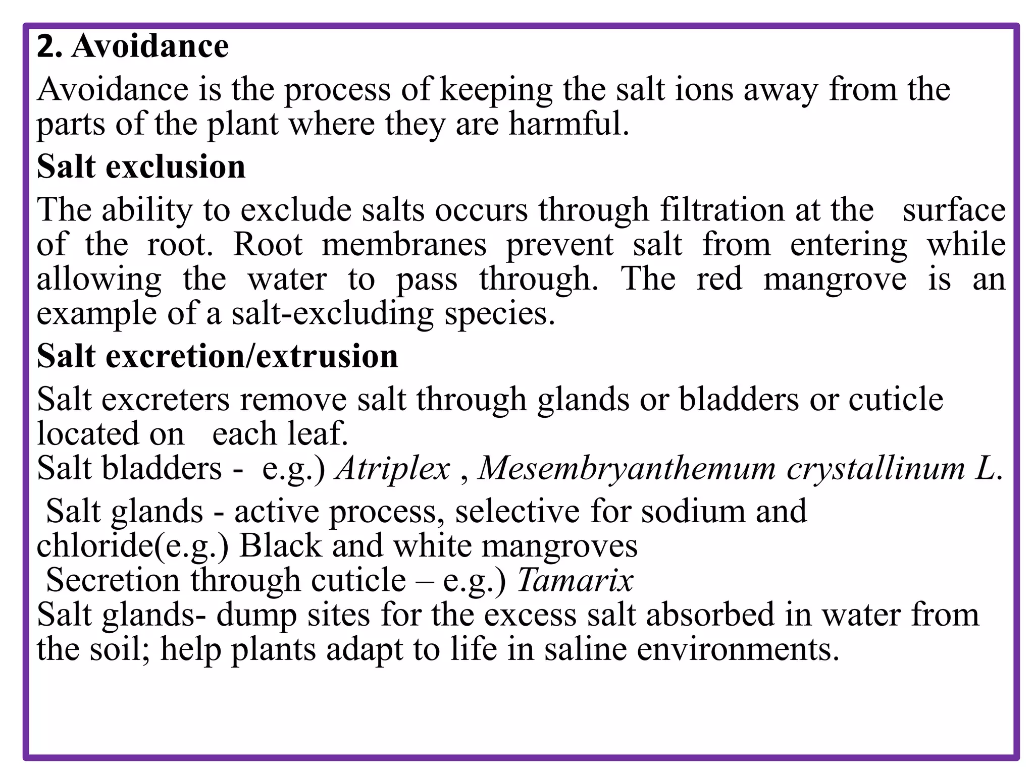 Salinity stress tolerance in plants master seminar | PPTX