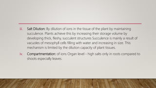 Salinity Tolerance in Plants.pptx