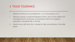 Salinity Tolerance in Plants.pptx