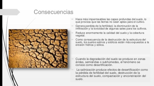 Salinización y sodificación