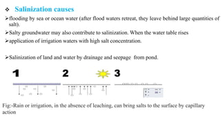 Salinization of Soil and Water, Environmental Impact,.pptx