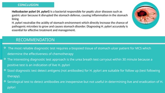 HELICOBACTER PYLORI TEST PRESENTATION SLIDE | PPT