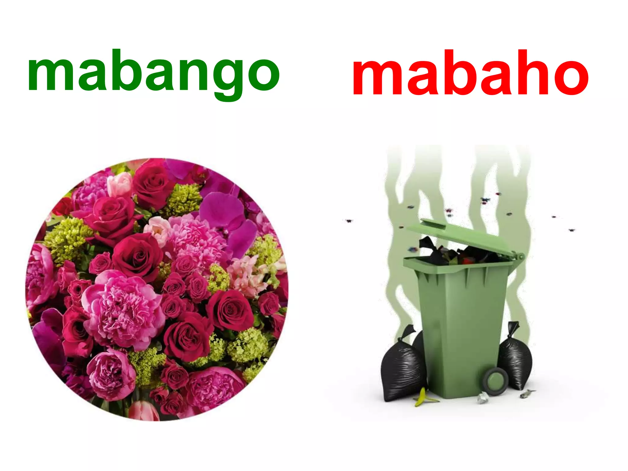 Salitang Naglalarawan.pptx