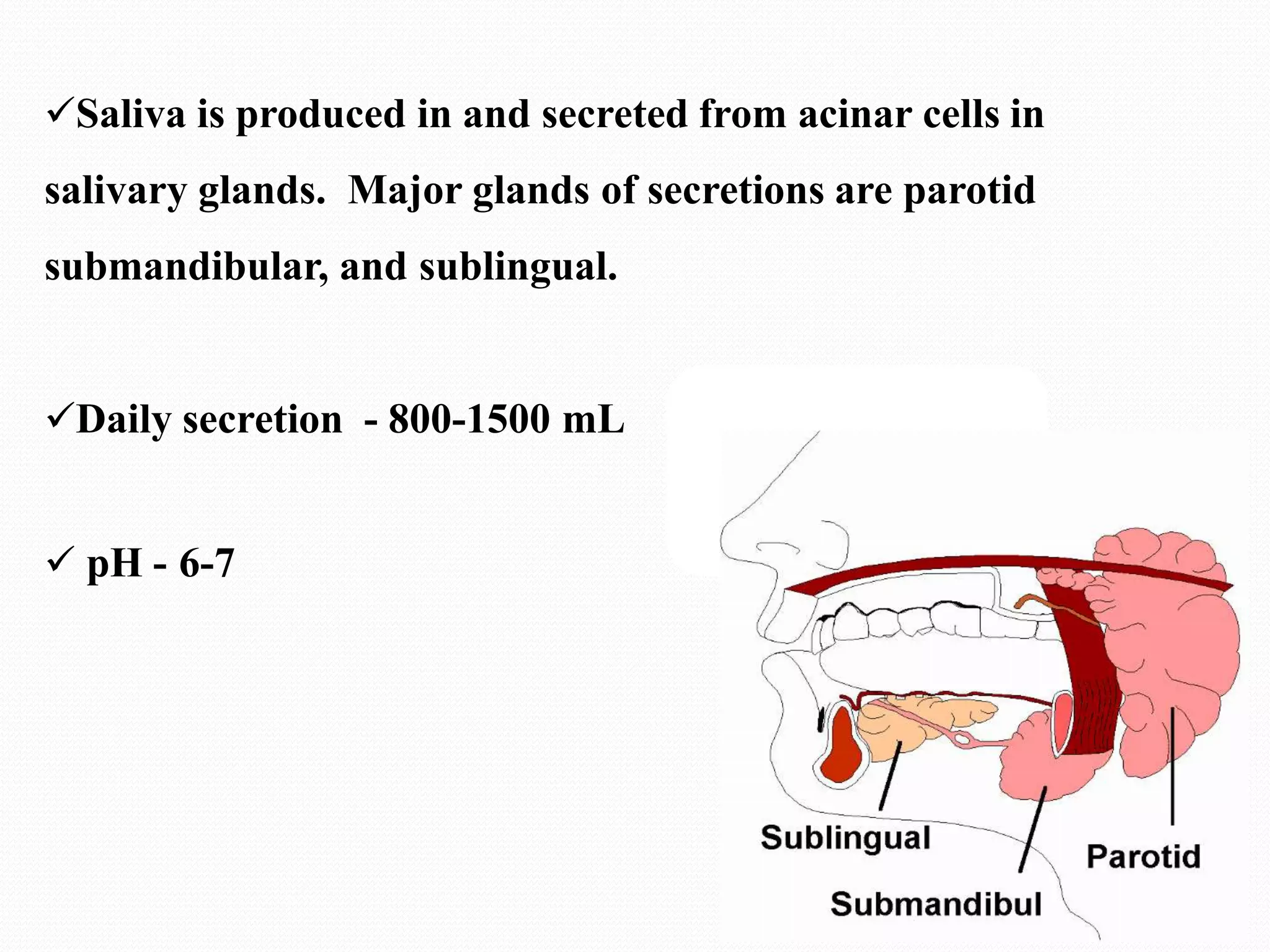 Saliva | PPTX