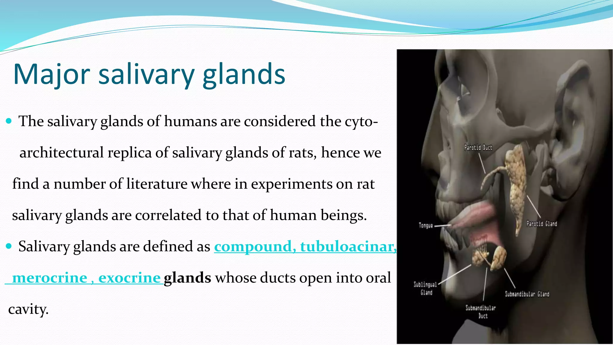 Saliva and its role in orthodontics | PPTX