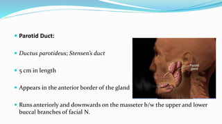 Saliva and its role in orthodontics | PPTX