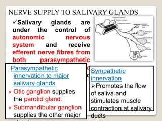 Saliva | PPTX