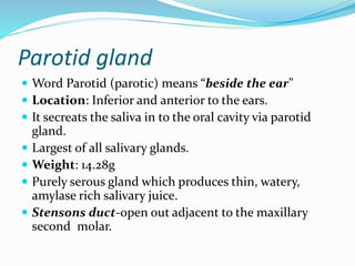 Saliva | PPTX