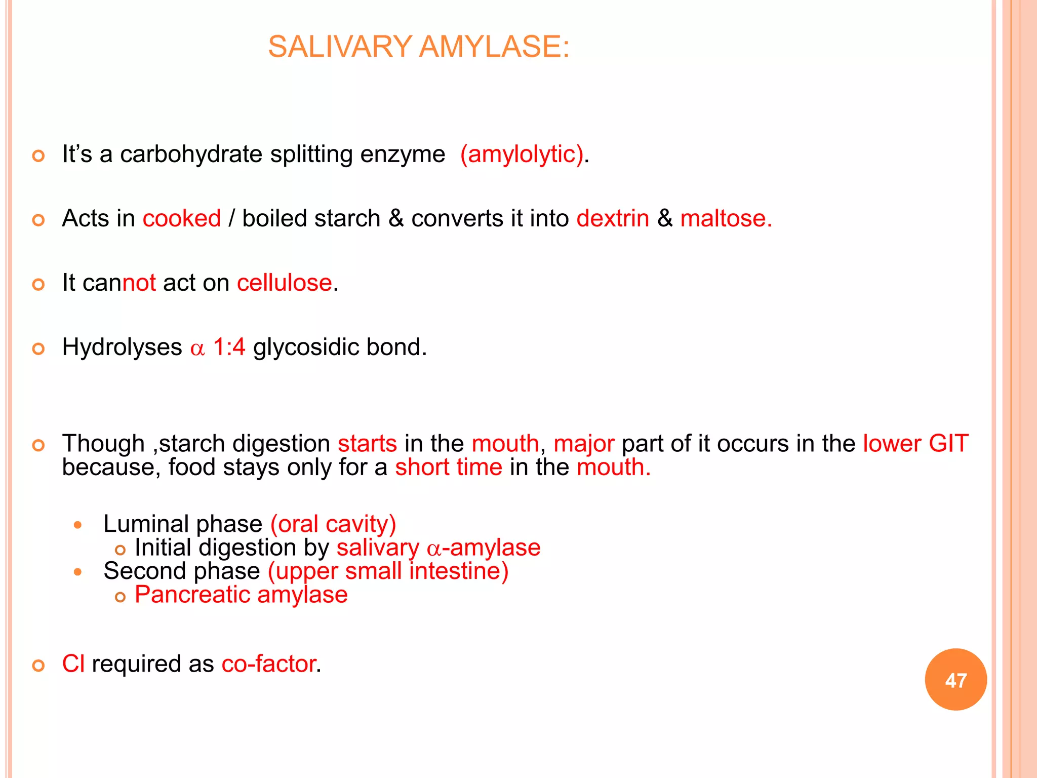 Saliva | PPTX