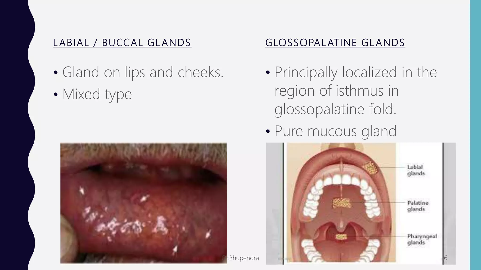 Saliva and its prosthodontic considerations | PPTX
