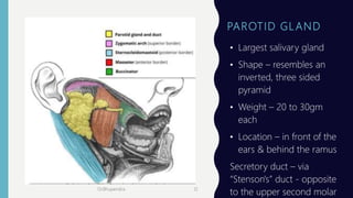 Saliva and its prosthodontic considerations | PPTX