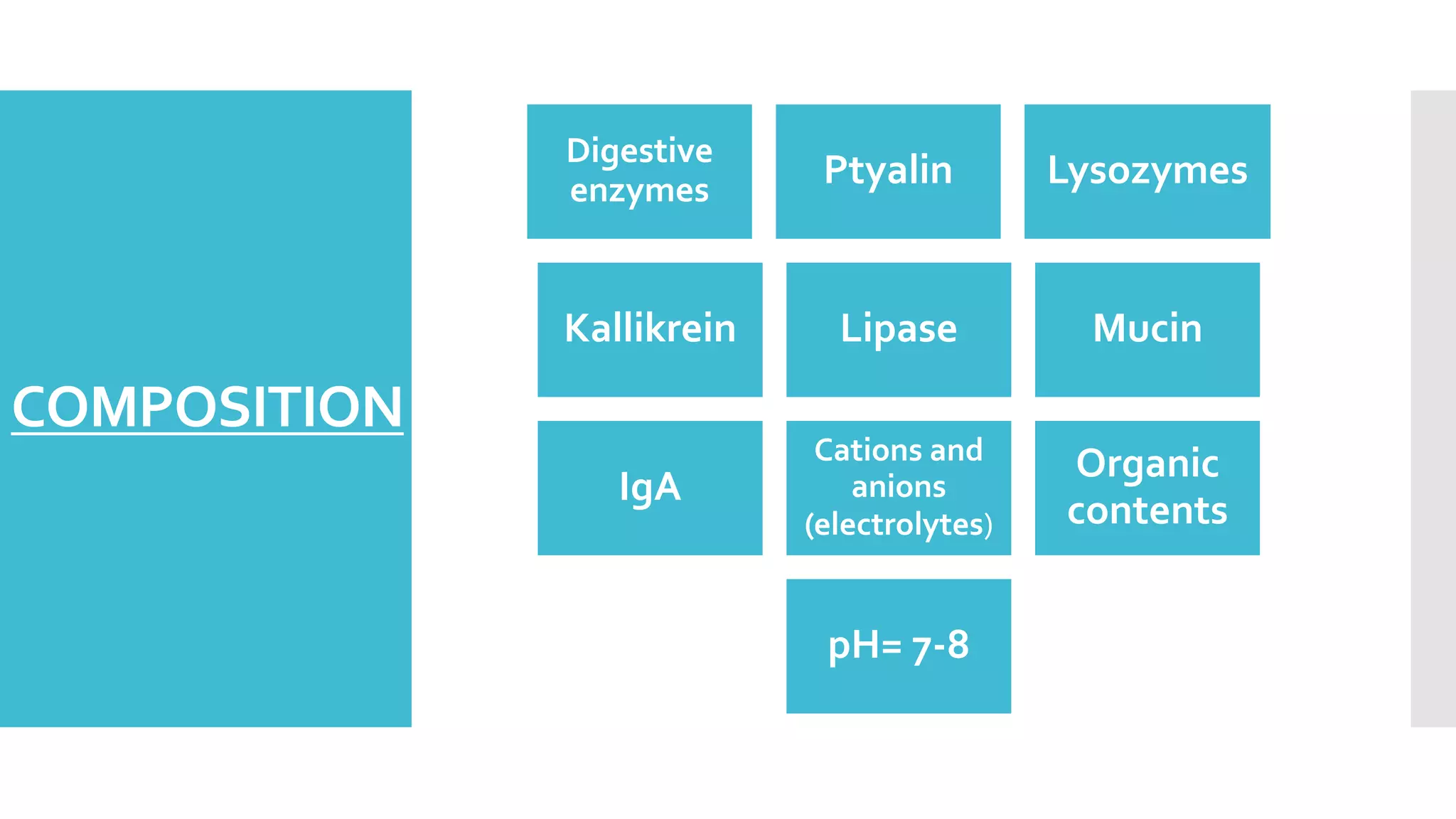 Salivation- GIT physiology | PDF