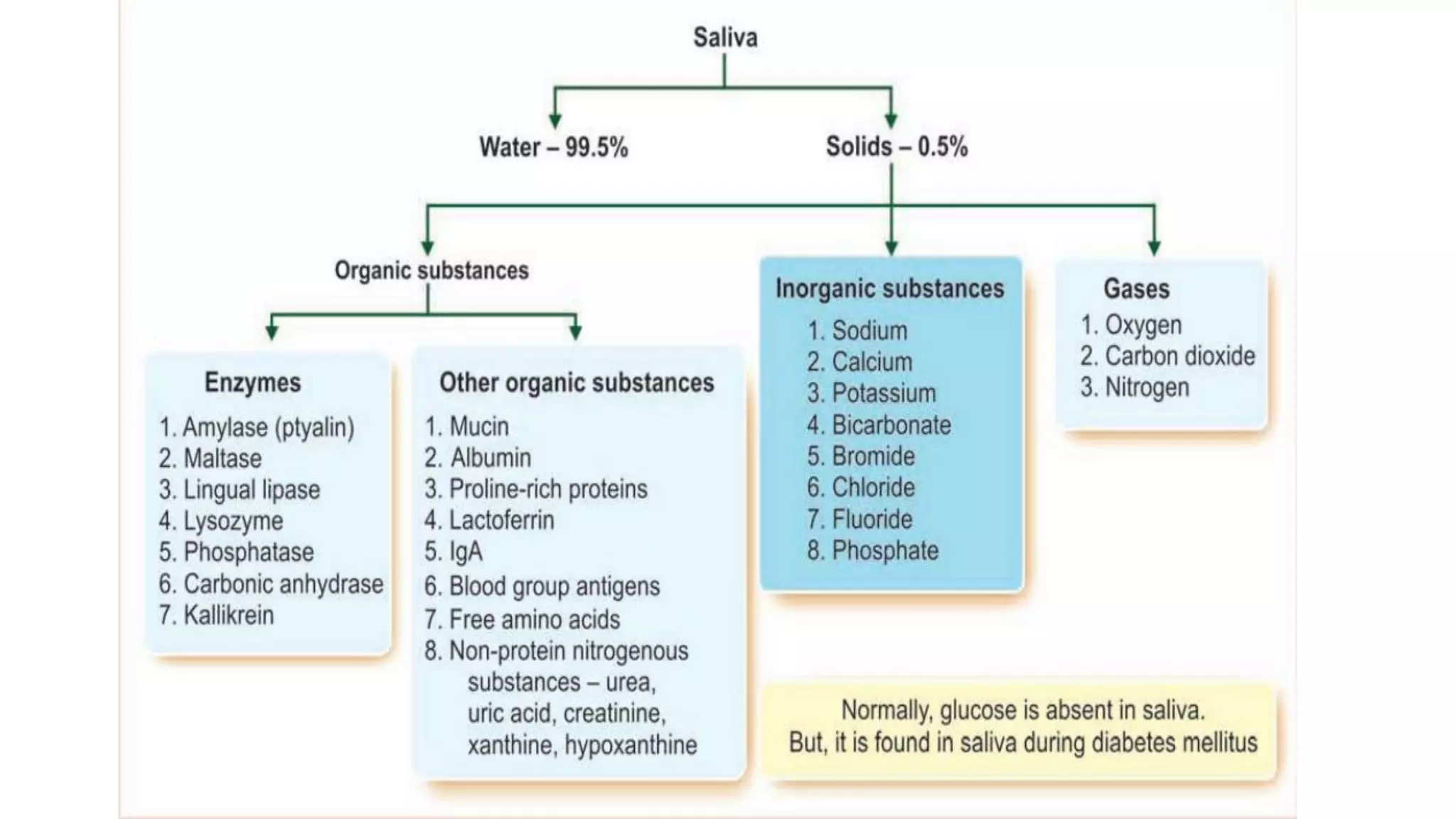 Salivation- GIT physiology | PDF