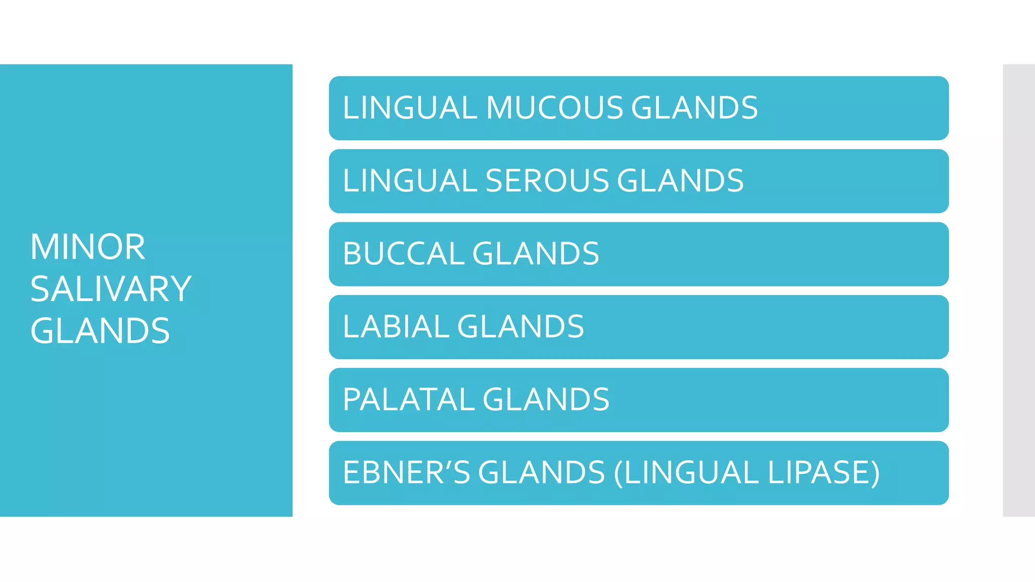 Salivation- GIT physiology | PDF