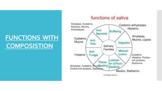 Salivation- GIT physiology | PDF