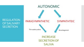Salivation- GIT physiology | PDF