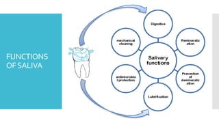 Salivation- GIT physiology | PDF