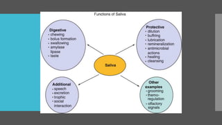 Salivation- GIT physiology | PDF