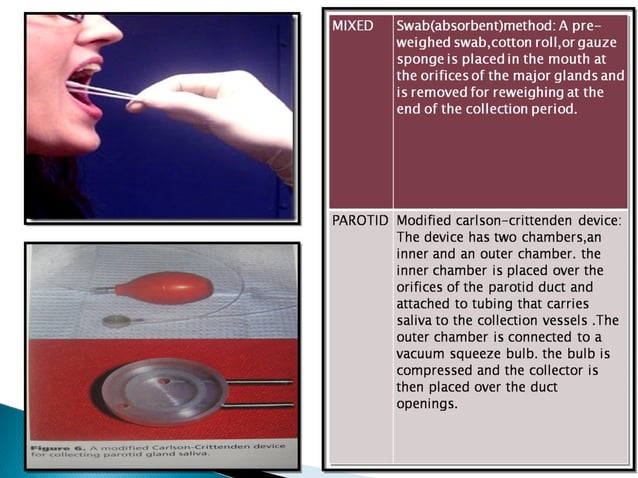 chemical composition and function of slaiva | PPT