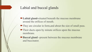 ROLE OF SALIVA IN CONTROLLING CARIES IN ORAL CAVITY | PPTX