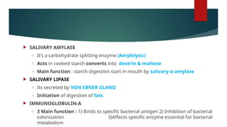 SALIVA biochemical,composition and function | PPTX