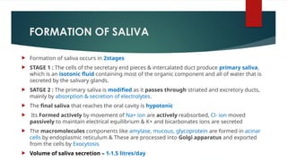 SALIVA biochemical,composition and function | PPTX