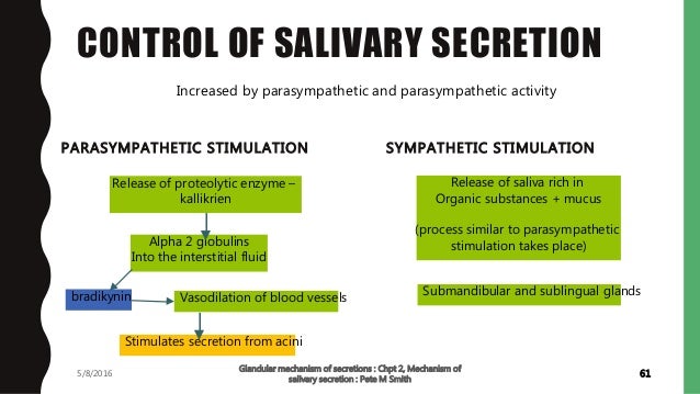 Saliva in dentistry