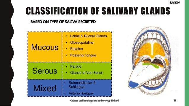 Saliva in dentistry
