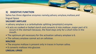 Basics of Saliva | PPTX