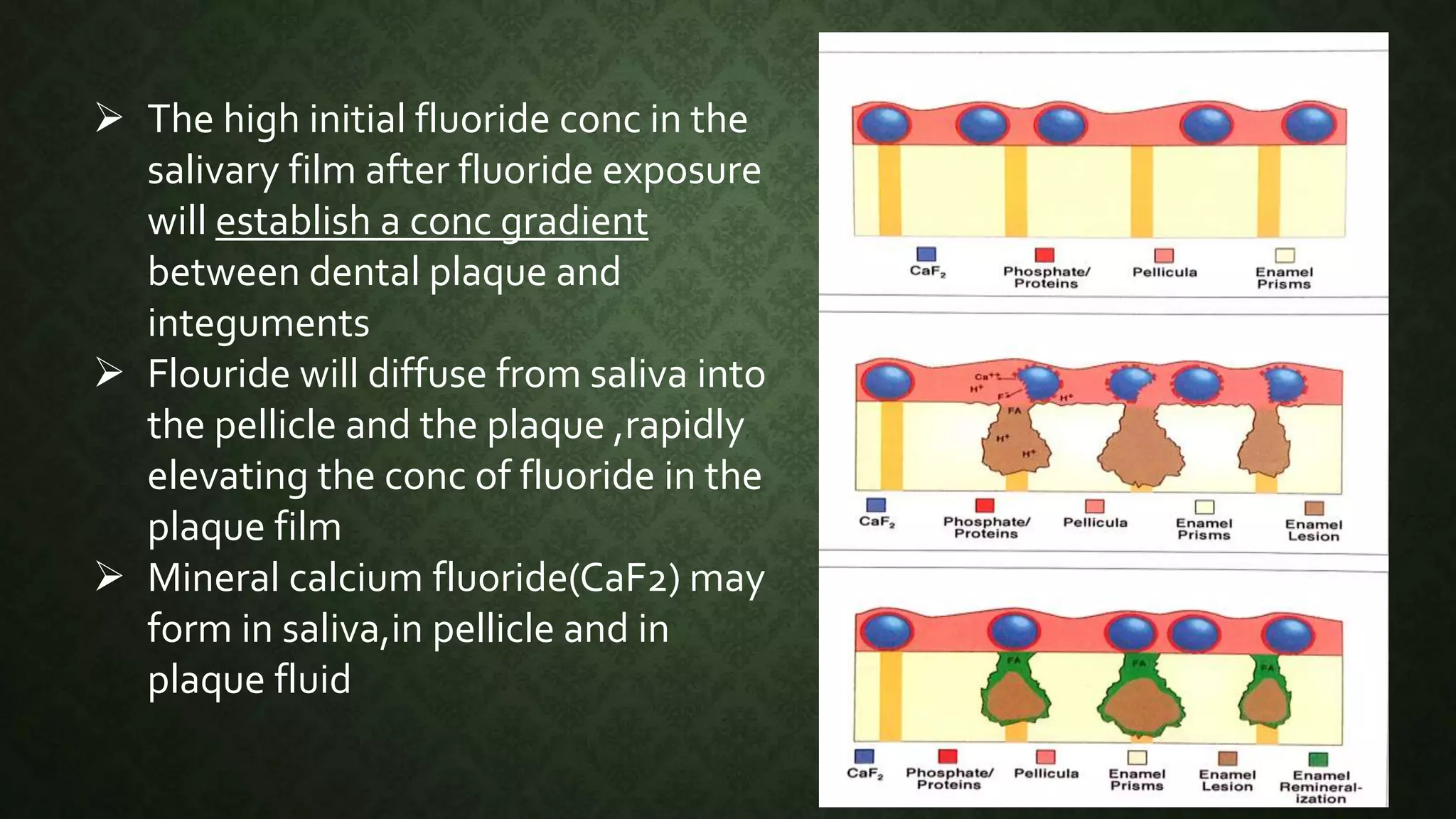 Saliva - applied physiology and its role in dental caries | PPTX