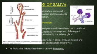 Saliva - applied physiology and its role in dental caries | PPTX