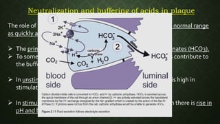 Saliva - applied physiology and its role in dental caries | PPTX