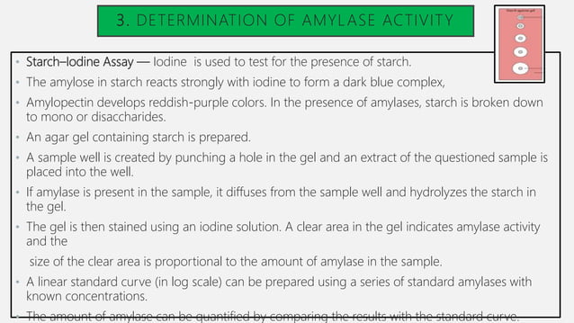 Saliva Analysis Methods -Forensic Biology | PPTX