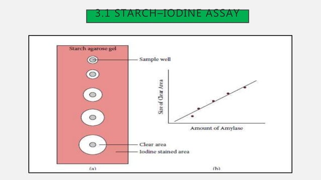 Saliva Analysis Methods -Forensic Biology | PPTX