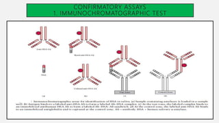 Saliva Analysis Methods -Forensic Biology | PPTX