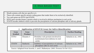 Saliva Analysis Methods -Forensic Biology | PPTX