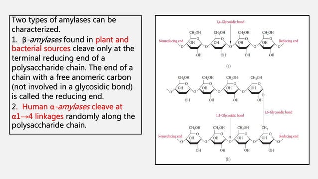 Saliva Analysis Methods -Forensic Biology | PPTX