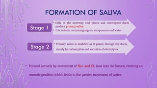 Saliva and its role in dental caries.pptx