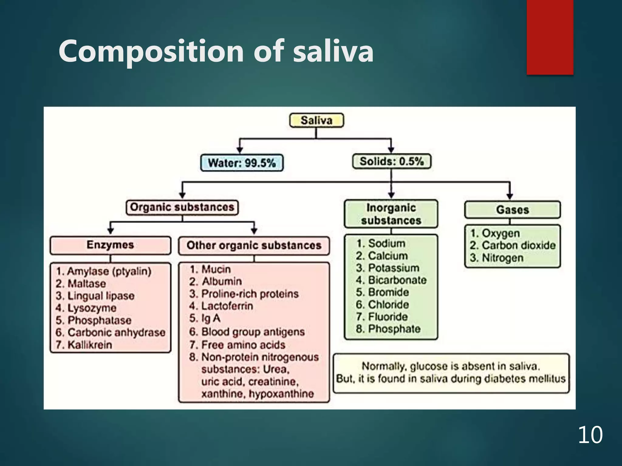 SALIVA AND ITS ROLE IN DENTAL CARIES 1st 3rd march.pptx