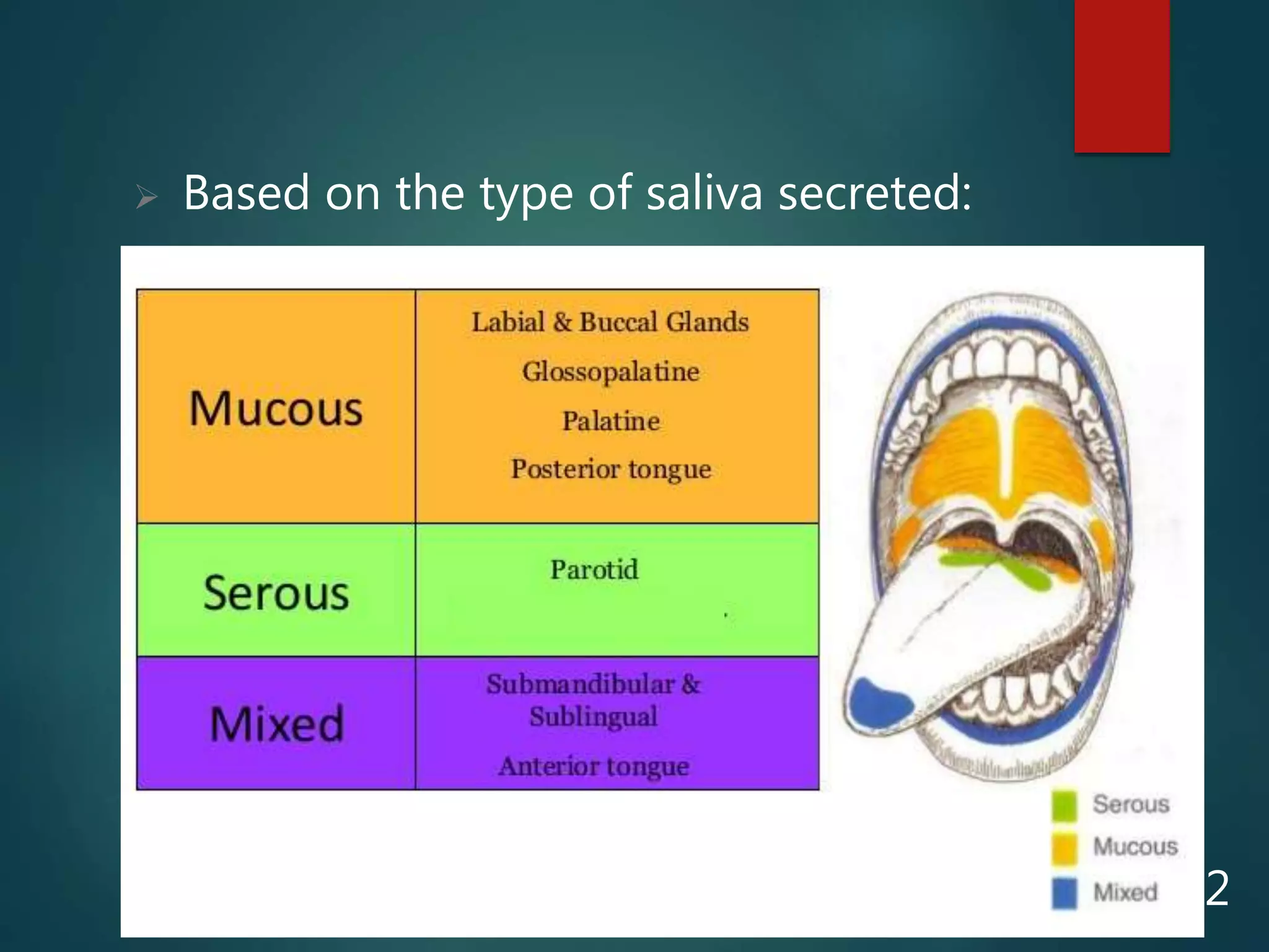 SALIVA AND ITS ROLE IN DENTAL CARIES 1st 3rd march.pptx