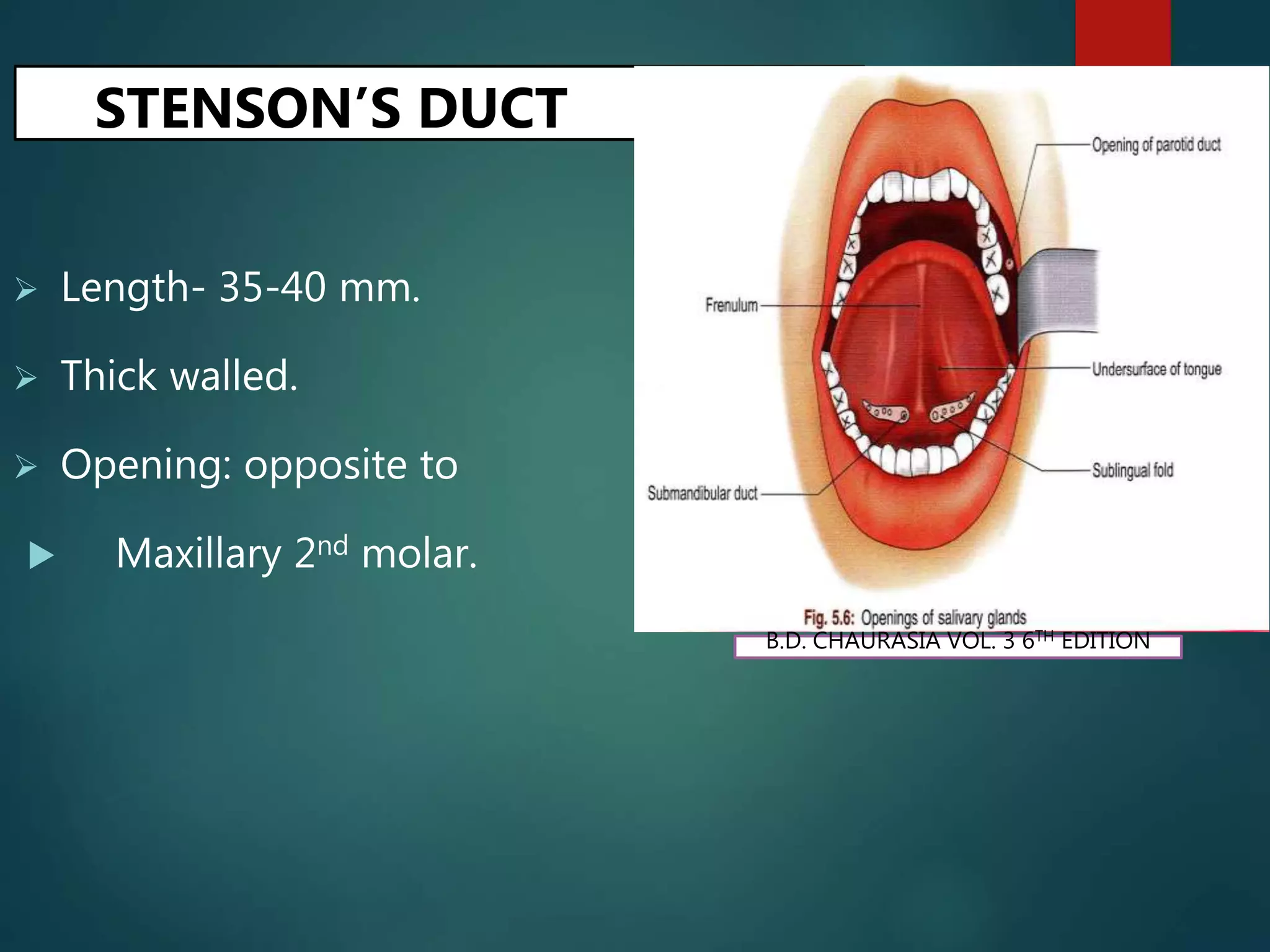 SALIVA AND ITS ROLE IN DENTAL CARIES 1st 3rd march.pptx