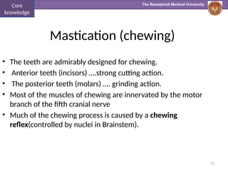 saliva and mastication,stages of swallowing ,clinical disorders of ...
