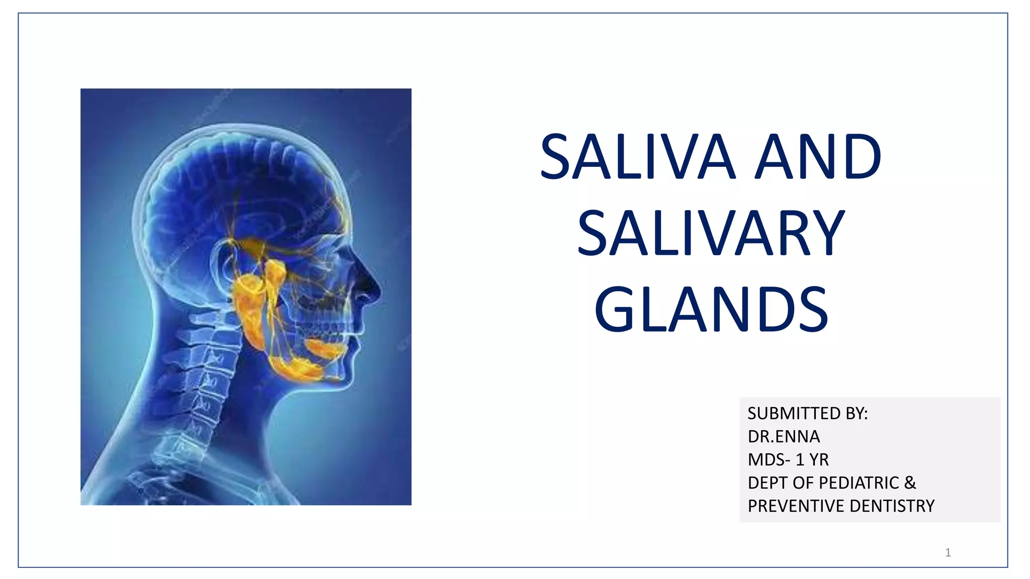 Saliva and salivary glands.pptx
