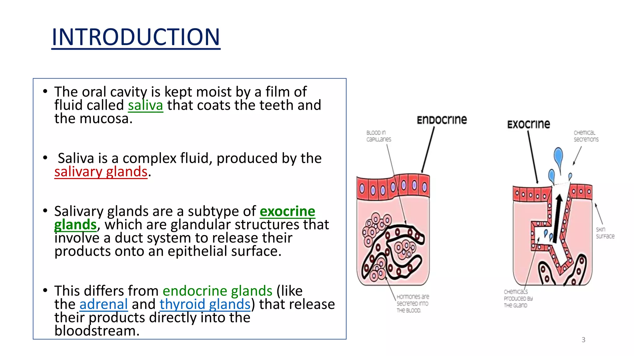 Saliva and salivary glands.pptx