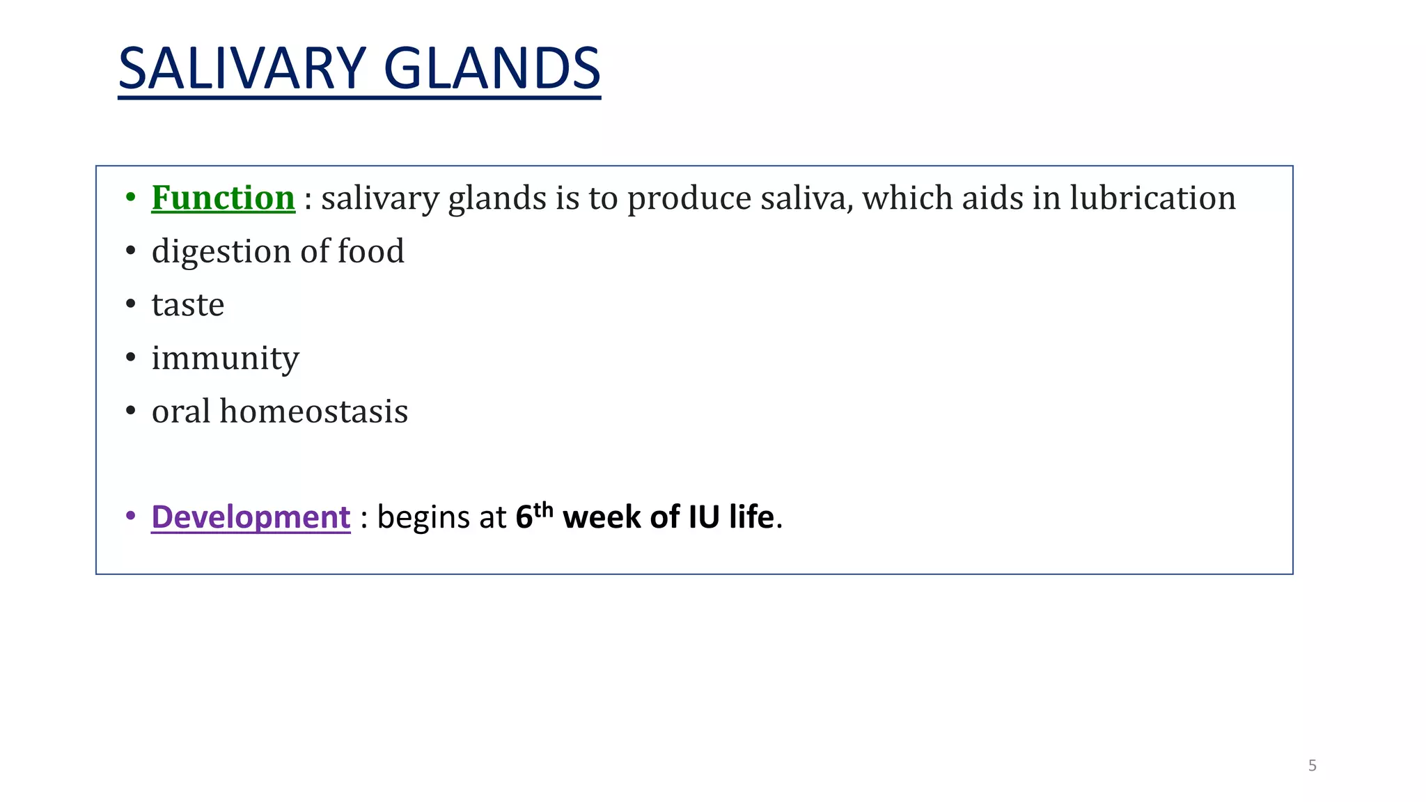 Saliva and salivary glands.pptx
